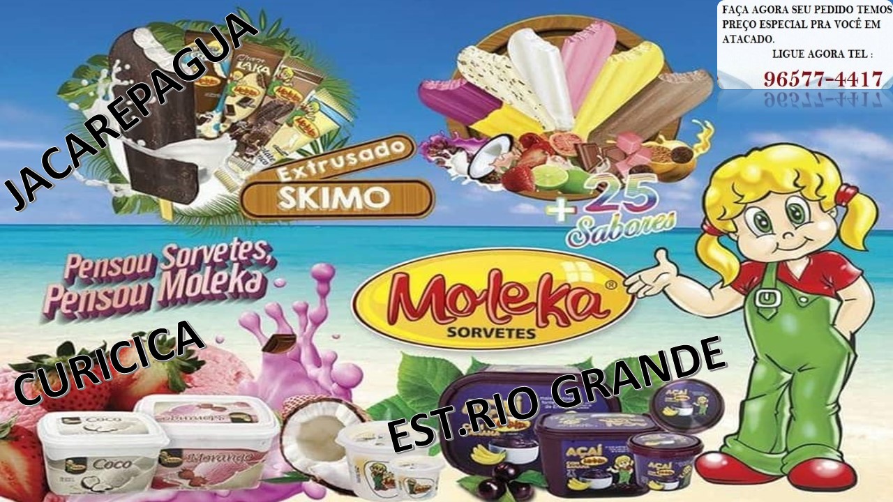 DISTRIBUIDORA MOLEKA JACAREPAGUA